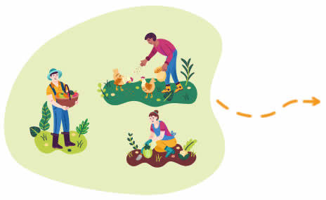 Freshie Farm | Your own farm