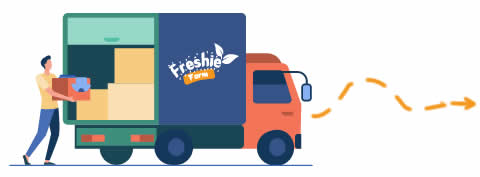 Freshie Farm | Your own farm