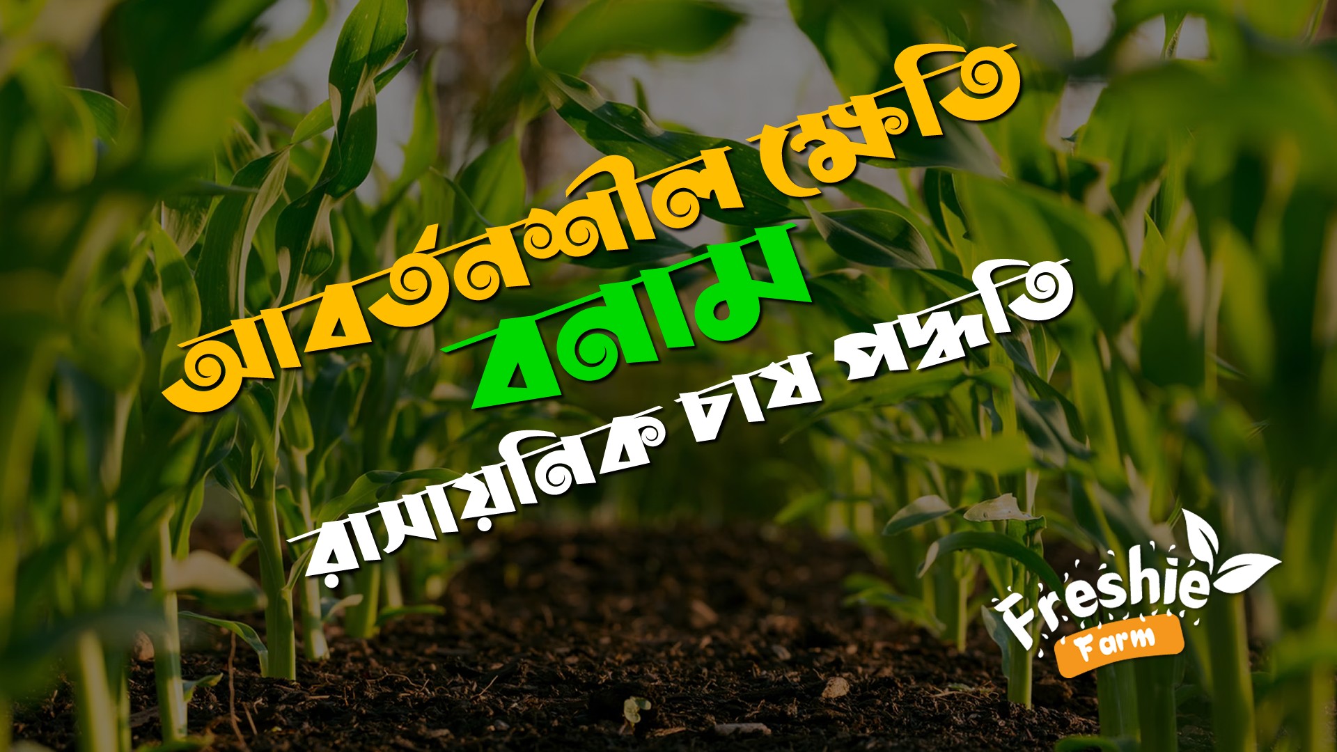 Freshie Farm | Your own farm